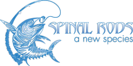 Fully Custom Rods from Spinal Rods in Skippack, PA